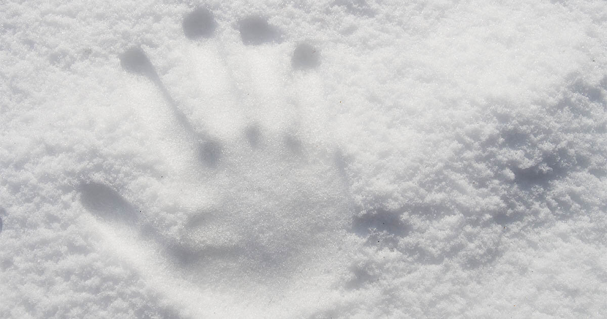 Raynaud’s Awareness Month